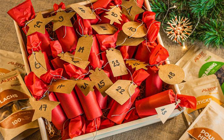 Rita Novak - R. Novak ANiFiT Berater